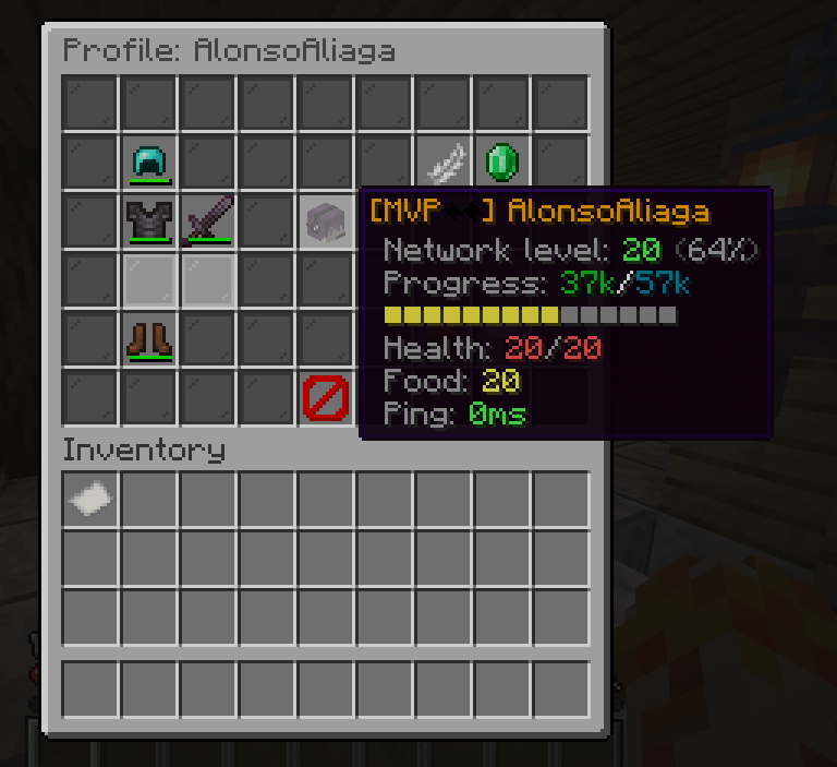 BetterProfiles [1.8+] • Custom items! Textures! Permissions! Commands ...