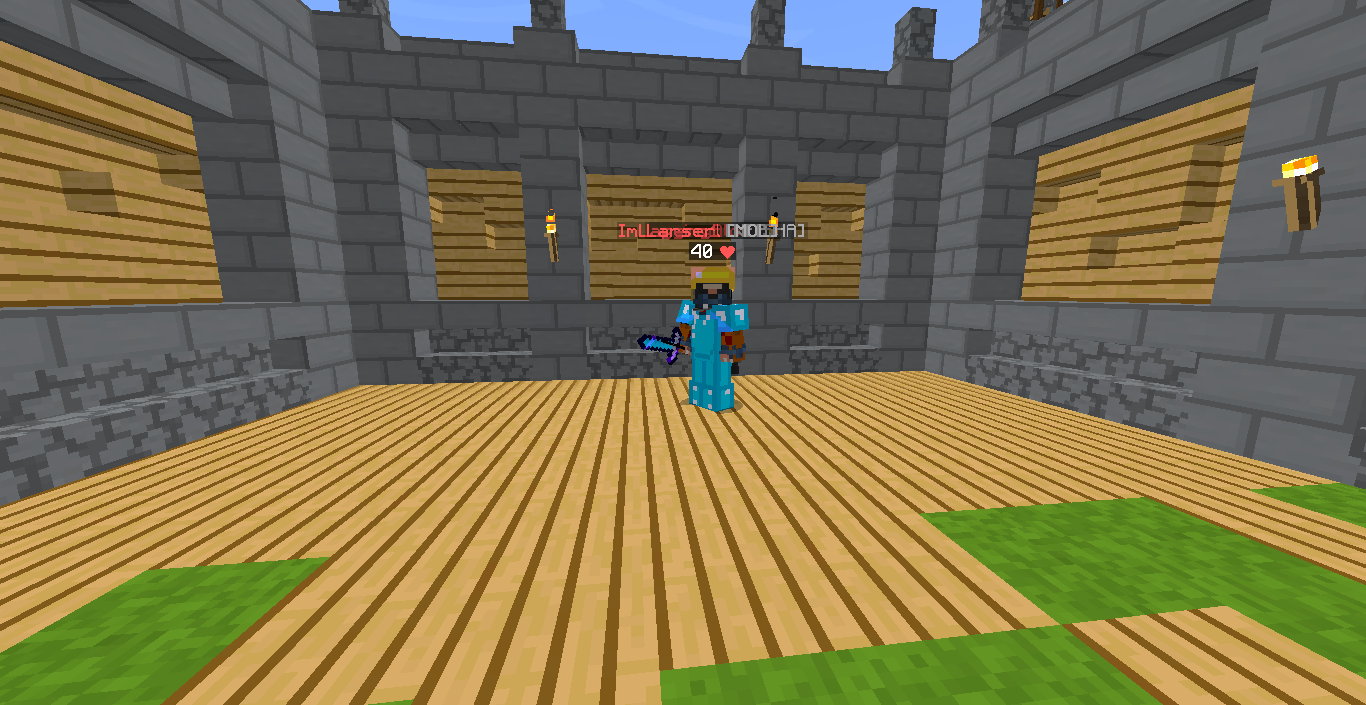 Half Hacker-Half Speeder- Half Tryhard- Half MolePersonThingItOtherGender- Half IDK anymore ...