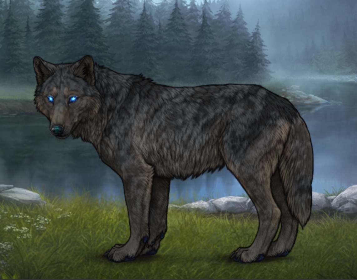 shaddok's R&C Record |:| Wolvden