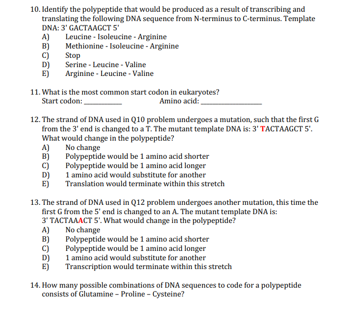 Solved 10. Identify the polypeptide that would be produced | Chegg.com