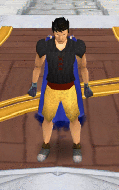 New Walk Animations stop when putting items on?? : r/runescape