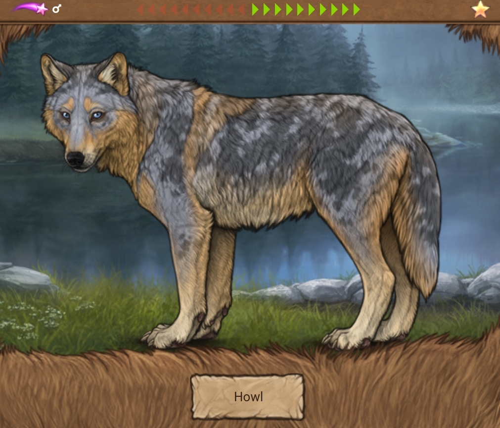 Chased Wolf Spotting - Revamped |:| Wolvden