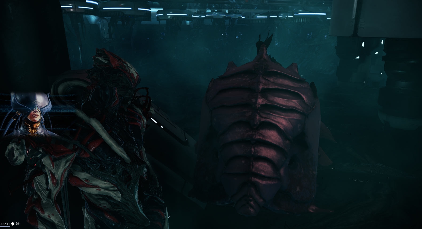 Fell though the floor in the infested room, made a new friend. : r/Warframe