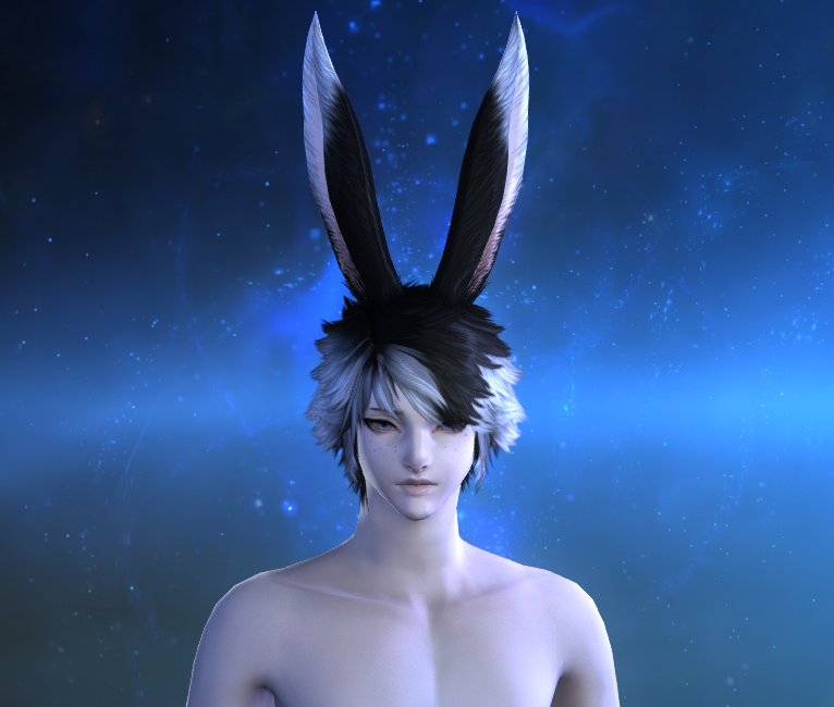 Super torn right now, need help making a choice! : r/ffxiv