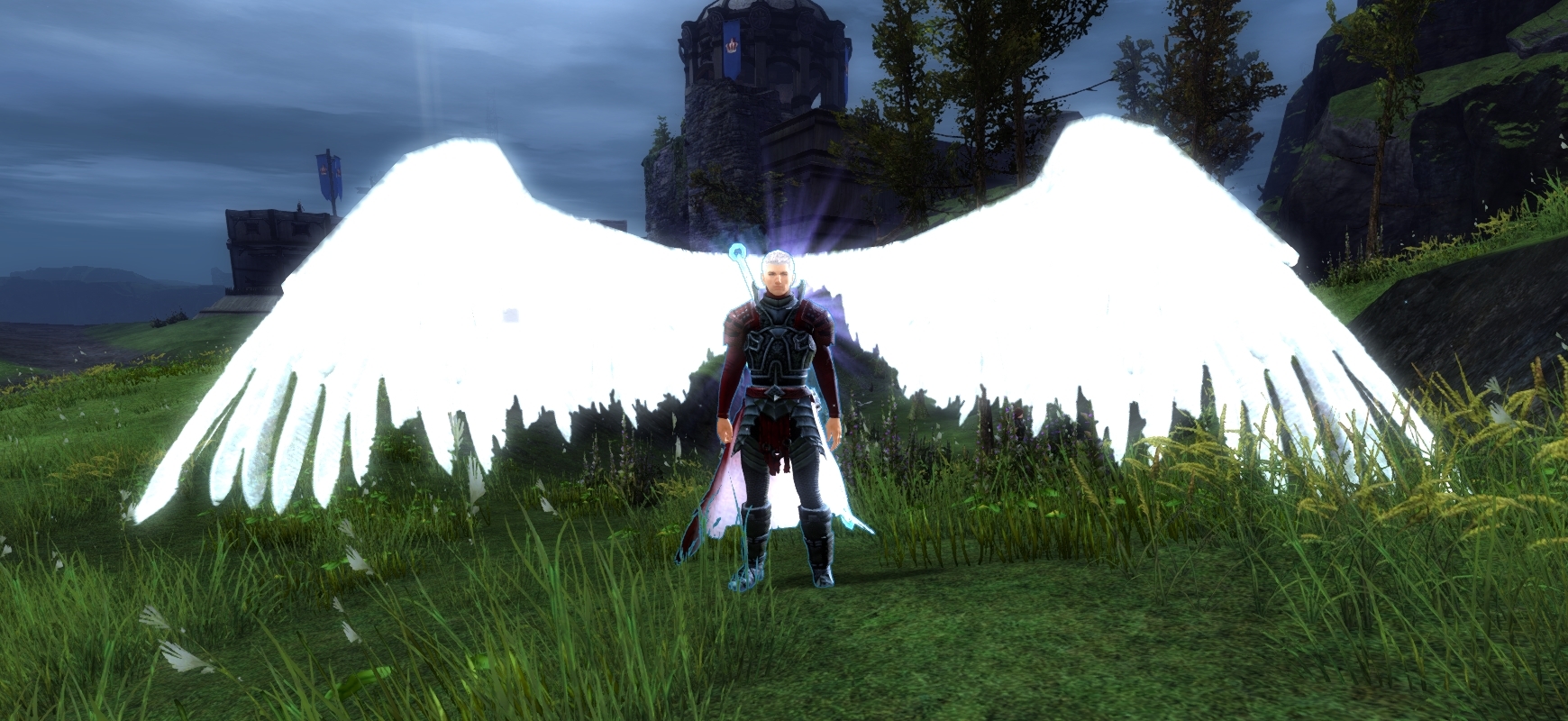 Imagine Wings of Resolve as a Backpack/Glider combo : r/Guildwars2