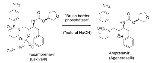 Solved Why does fosamprenavir have a greater water | Chegg.com