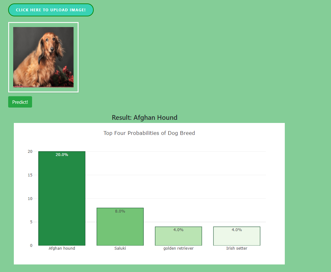 GitHub - kmanning1224/Dog-Breed-Classification: A project to work with ...