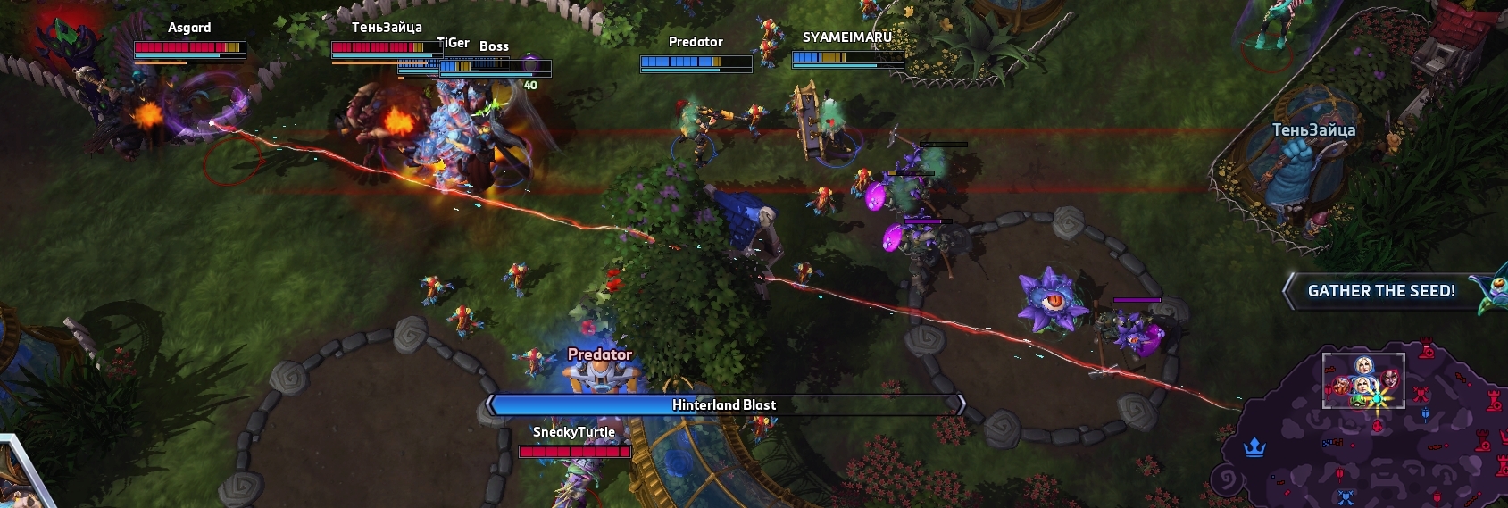 Have you seen any bugs on these Heroes? : r/heroesofthestorm