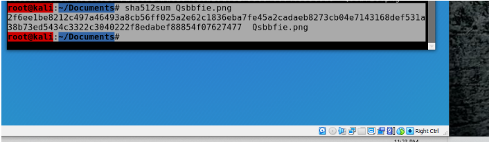 GitHub - jesseenriquez14/Hashing-Lab