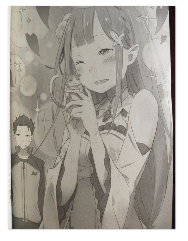 [LN] Subaru's Haircut + Emilia and Pack SS LQ Illustration : r/Re_Zero
