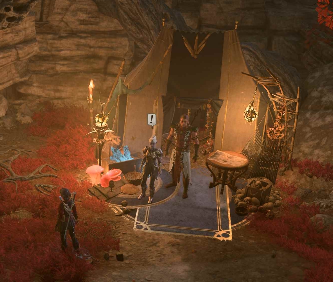 So I Got Both Halsin And Minthara In My Camp Larian Studios Forums So I Got Both Halsin And Minthara In My Camp Larian Studios Forums