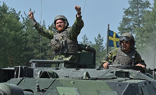 New Swedish Profile Icons | 1.98 Dev-Server : r/Warthunder