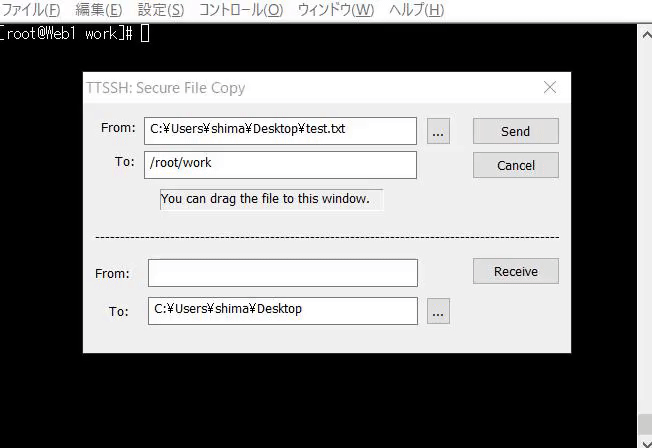 【勝手に毎日投稿祭り】TeraTermのSCP転送機能使ってますか？ #Linux - Qiita