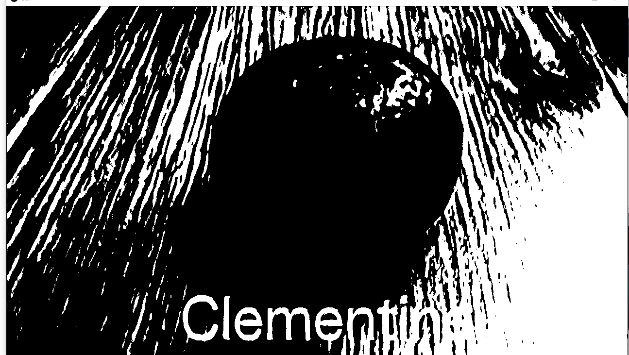 GitHub - dariashifrina/cuties: Basic Computer Vision app with object ...