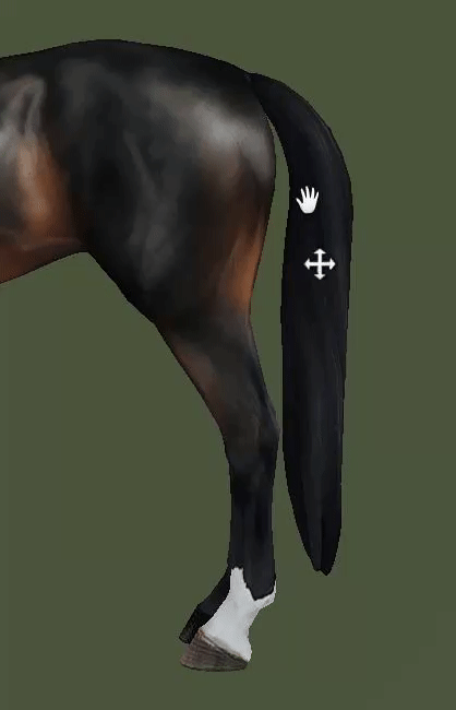 @cereusperformancehorses on Tumblr