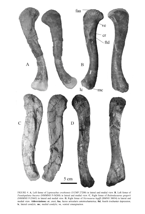 Phytosaurs Part 1 (Terrestial Lads) by Shaochilong66 on DeviantArt