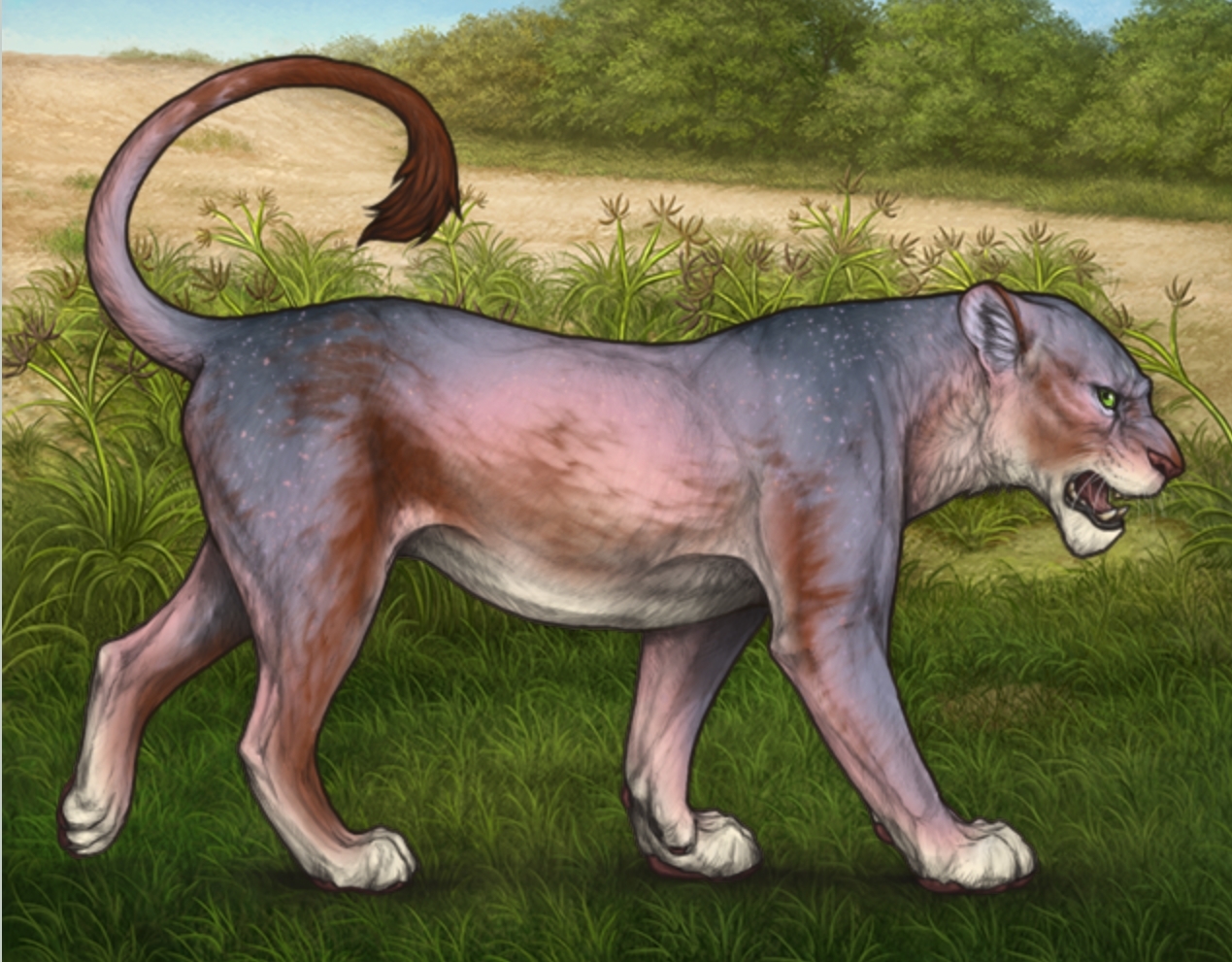 Kioko's Cheap Cubbin Auctions! NEW Mar 1 :|: Lioden