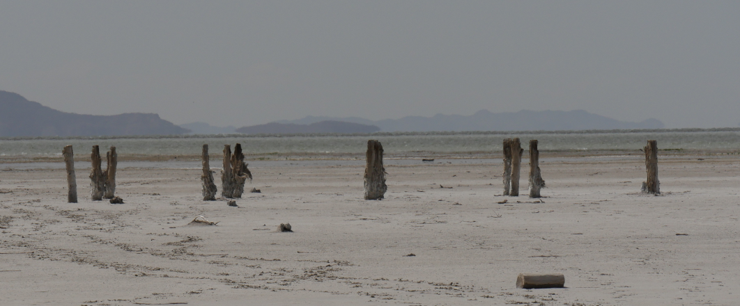 The Lost History of Saltair -A Book and Documentary Project - Page 24 ...