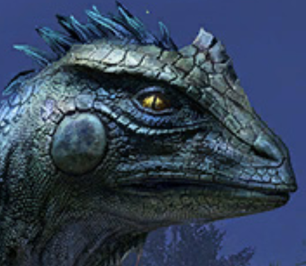 lets look on the bright side and appreciate horse lizard — Elder ...