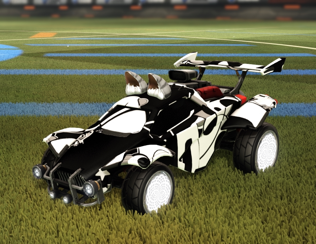 Shoutouts to AlphaConsole : r/RocketLeagueMods