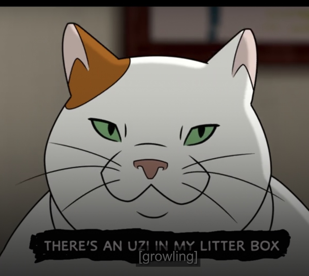 Gyazo Collection - Cat