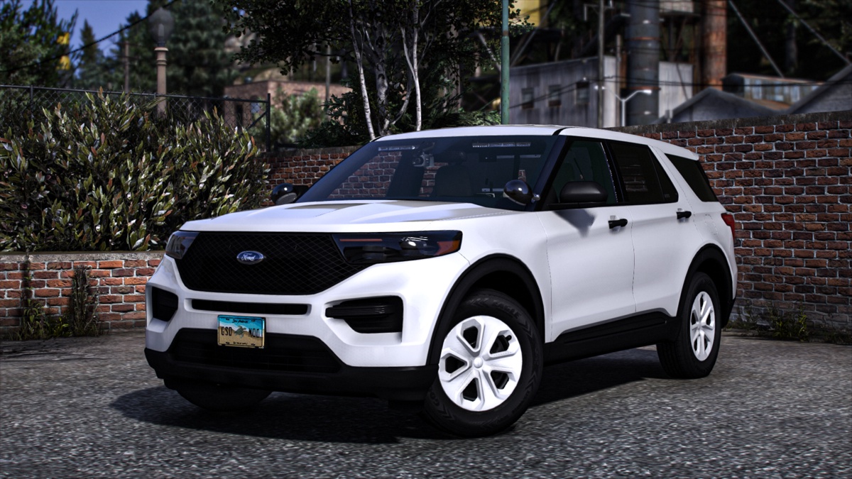 Gyazo - 2020 Fedsig explroer - Gyazo Collection