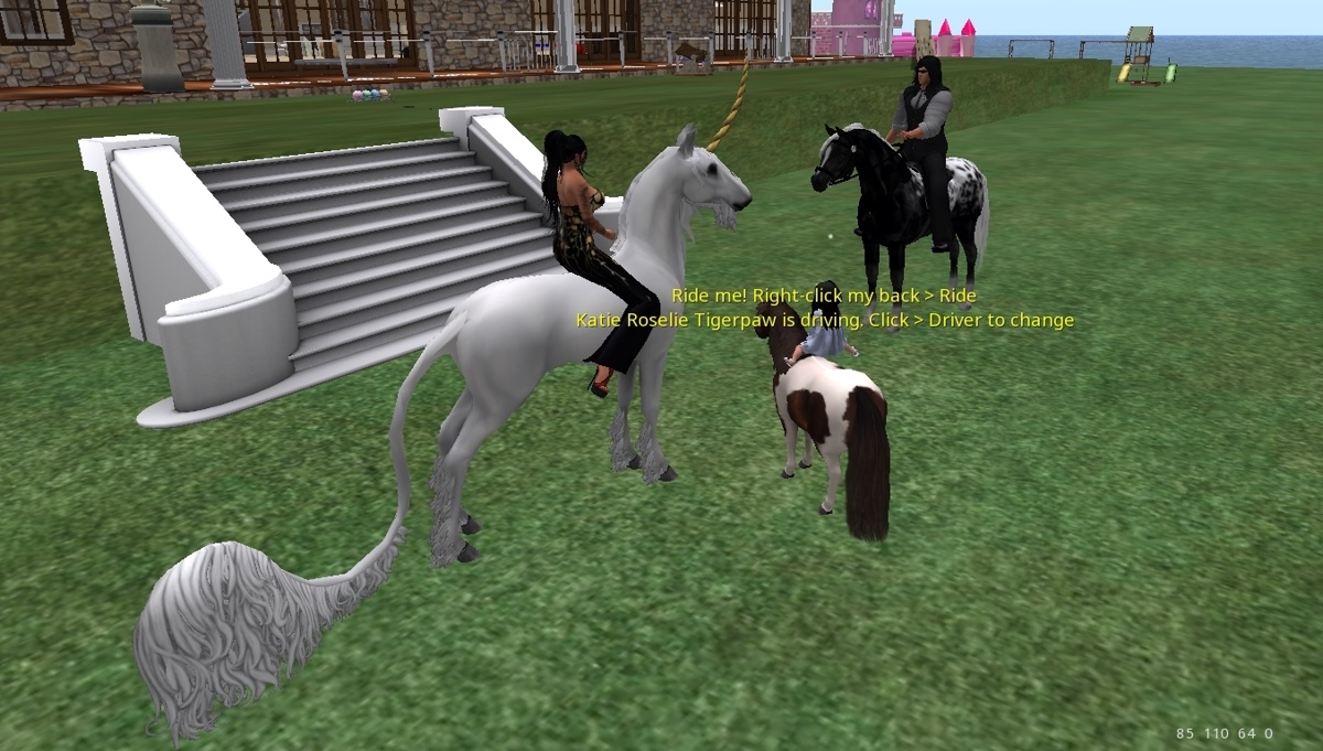 Gyazo Collection - pictures