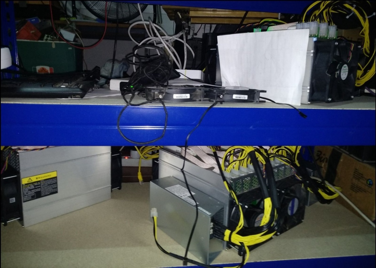 Gyazo - granja - Gyazo Collection