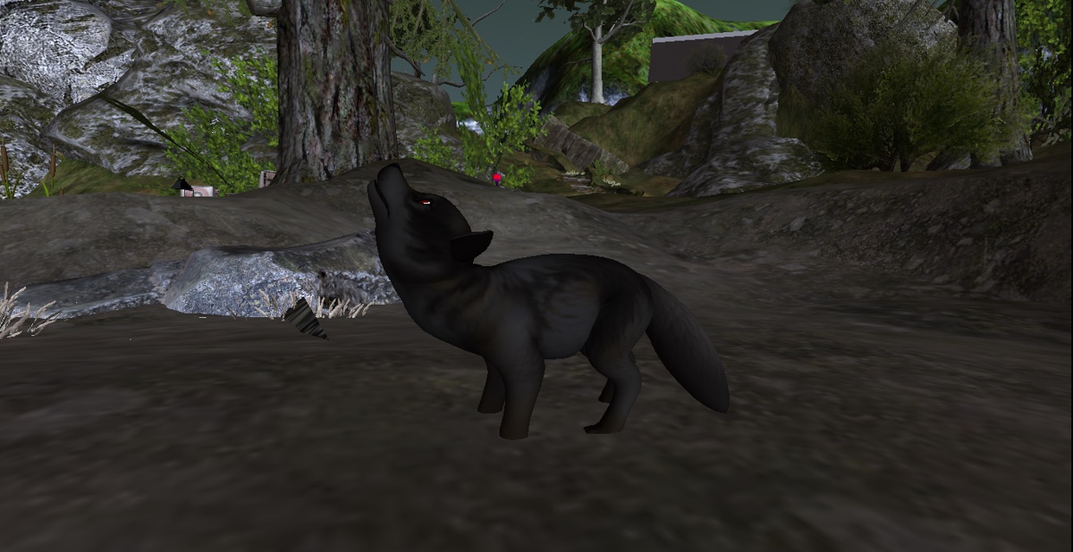 Gyazo - photography - Gyazo Collection